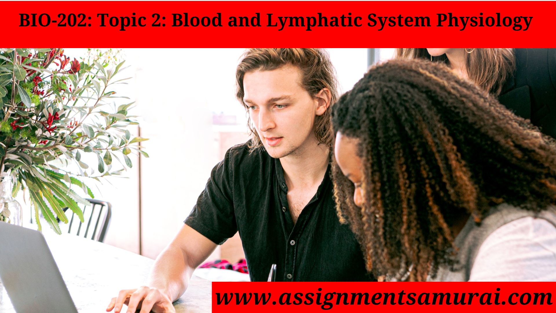 BIO-202: Topic 2: Blood and Lymphatic System Physiology / BIO-202 ...